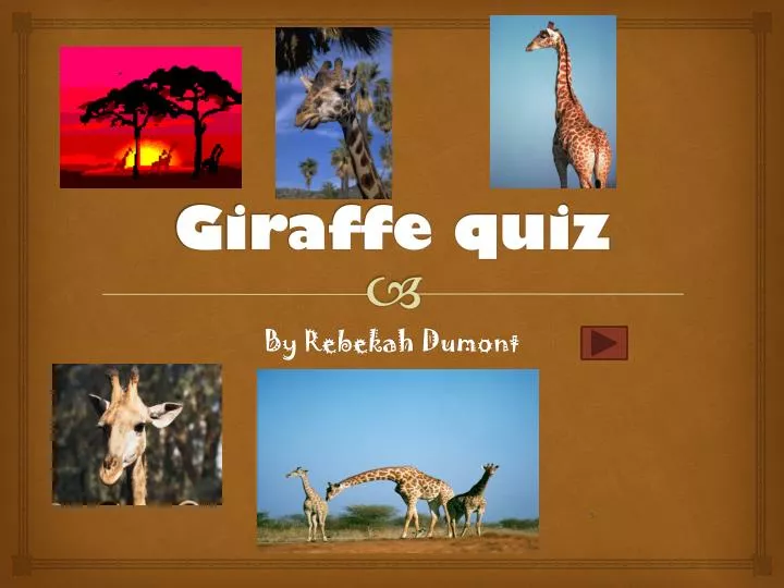 PPT - Giraffe quiz PowerPoint Presentation, free download - ID:6945197