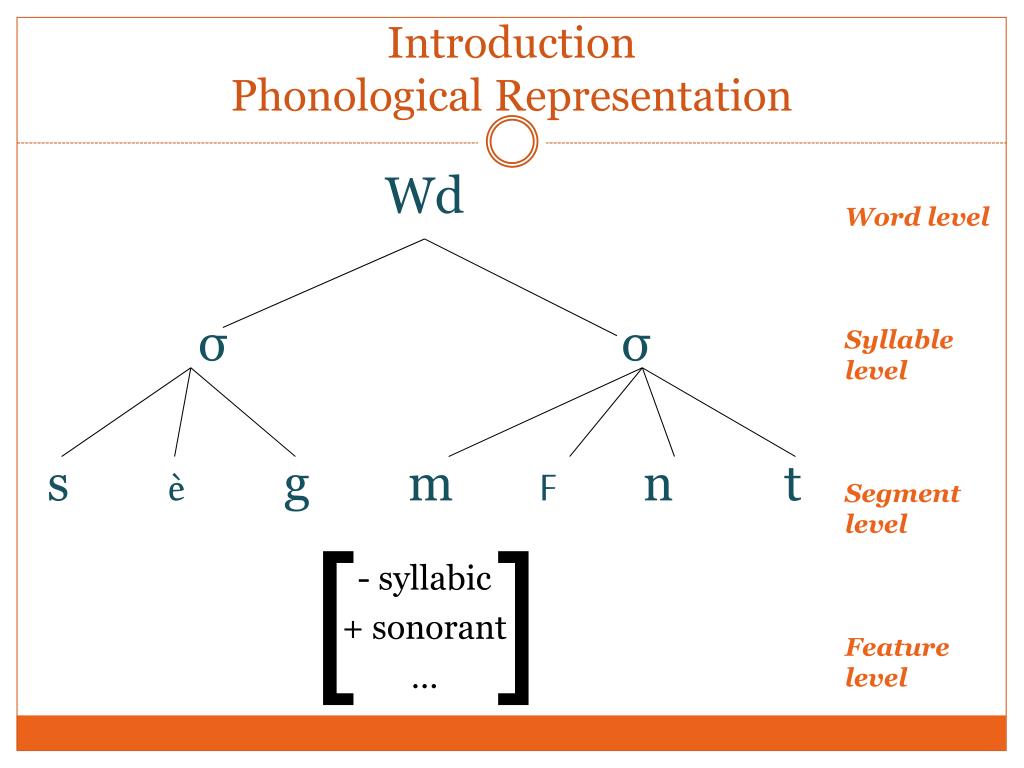 Ppt Phonology Powerpoint Presentation Free Download Id 6946967