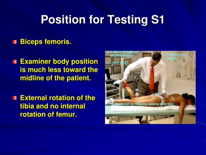 PPT - Muscle Testing in Applied Kinesiology PowerPoint Presentation ...