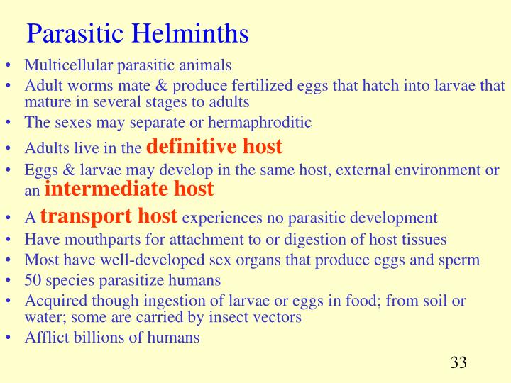 PPT - Protozoa, Slime Molds & Helminths PowerPoint Presentation - ID ...