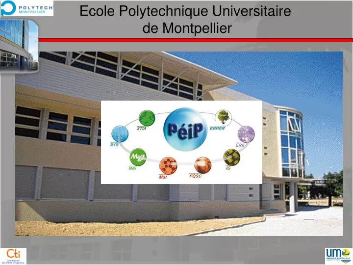 PPT - Ecole Polytechnique Universitaire de Montpellier PowerPoint ...