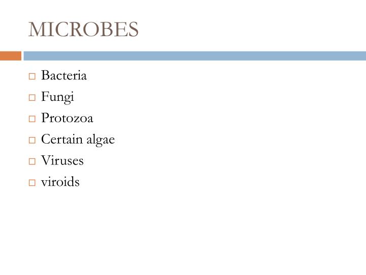 PPT - MICROBES IN HUMAN WELFARE PowerPoint Presentation - ID:6950539