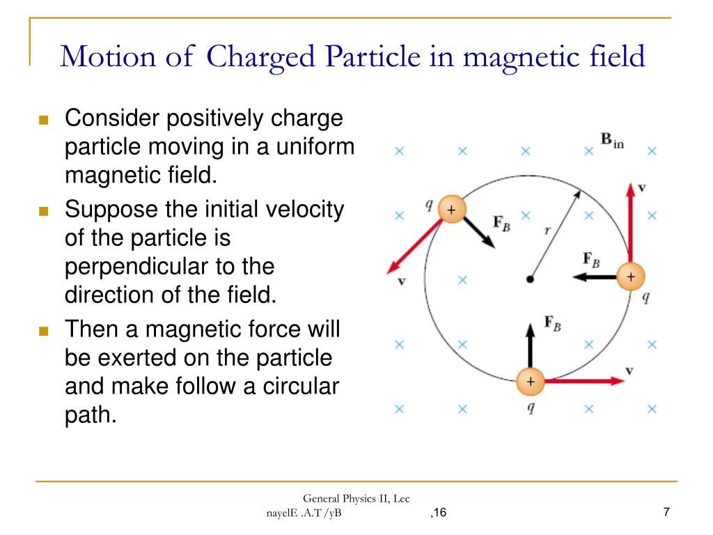 PPT - Lecture 16 Magnetic Fields& Force PowerPoint Presentation - ID ... PPT - Lecture 16 Magnetic Fields& Force PowerPoint Presentation - ID ...