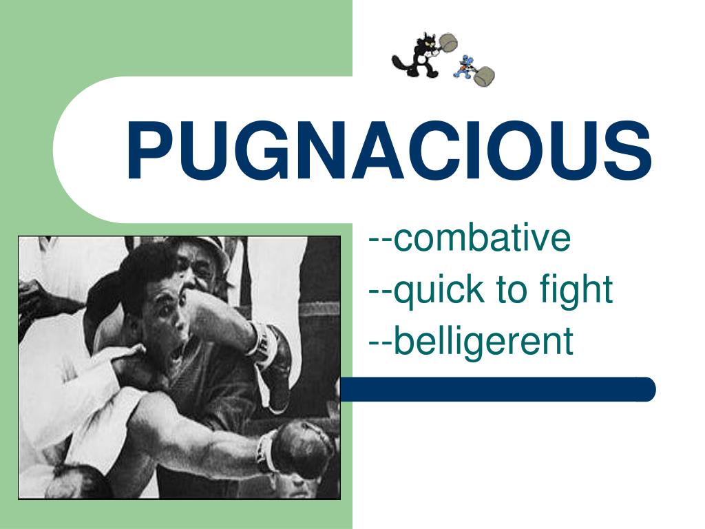 PPT - Hot SAT Words: PowerPoint Presentation, free download - ID:6951417