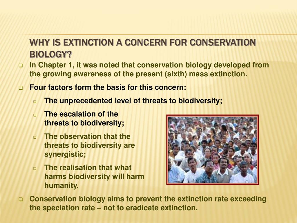 Ppt Extinction And Conservation Powerpoint Presentation Free