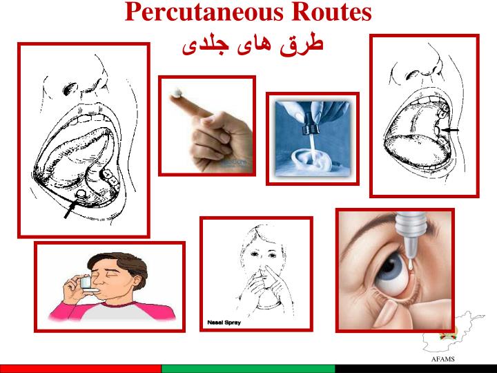 PPT - Medication Administration تطبیق ادویه PowerPoint Presentation ...