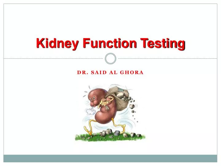 PPT - Kidney Function Testing PowerPoint Presentation, free download ...