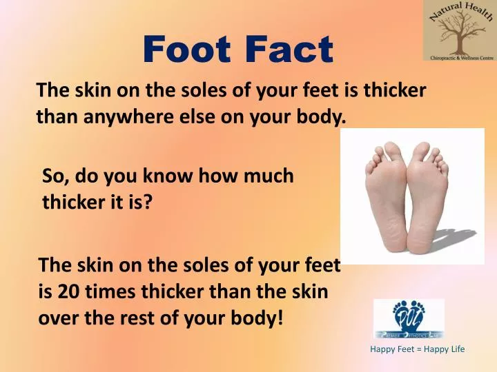 PPT - Foot Fact PowerPoint Presentation, free download - ID:6954460