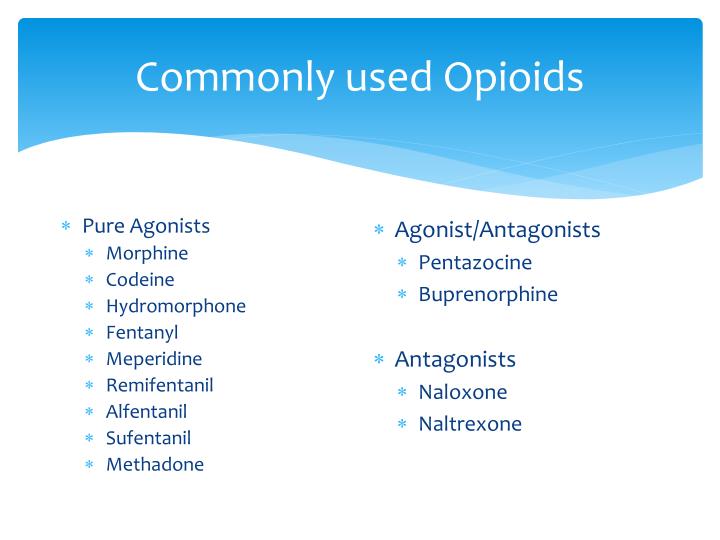 PPT - Opioids PowerPoint Presentation - ID:6954950