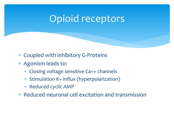 PPT - Opioids PowerPoint Presentation - ID:6954950