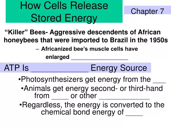 PPT - How Cells Release Stored Energy PowerPoint Presentation, free ...
