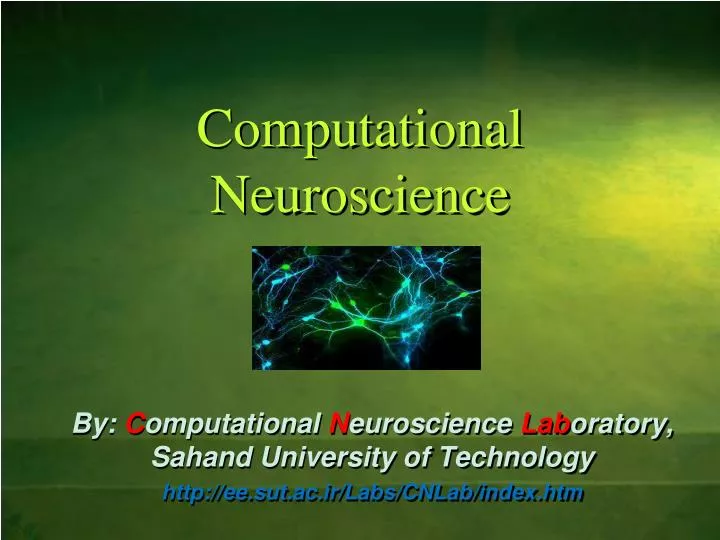 PPT - Computational Neuroscience PowerPoint Presentation, free download ... PPT - Computational Neuroscience PowerPoint Presentation, free download ...