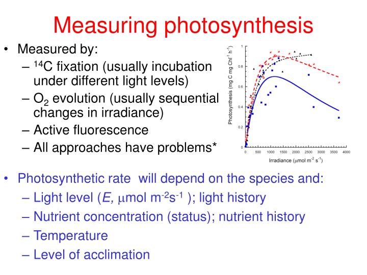 PPT - Primary Productivity & Phytoplankton Growth PowerPoint ...
