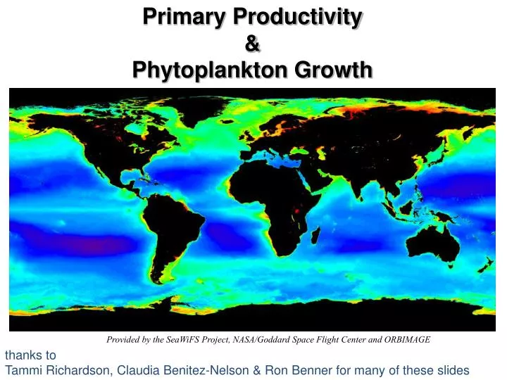 PPT - Primary Productivity & Phytoplankton Growth PowerPoint ...