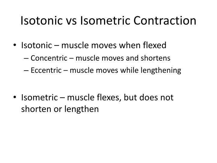PPT - Muscular System PowerPoint Presentation - ID:6955734