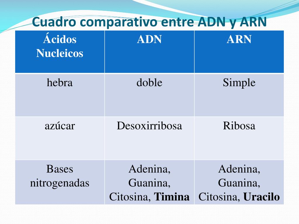 Diferencias Entre Adn Y Arn Cuadro Comparativo Adn Y Arn Adn Adn Images ... Diferencias Entre Adn Y Arn Cuadro Comparativo Adn Y Arn Adn Adn Images ...