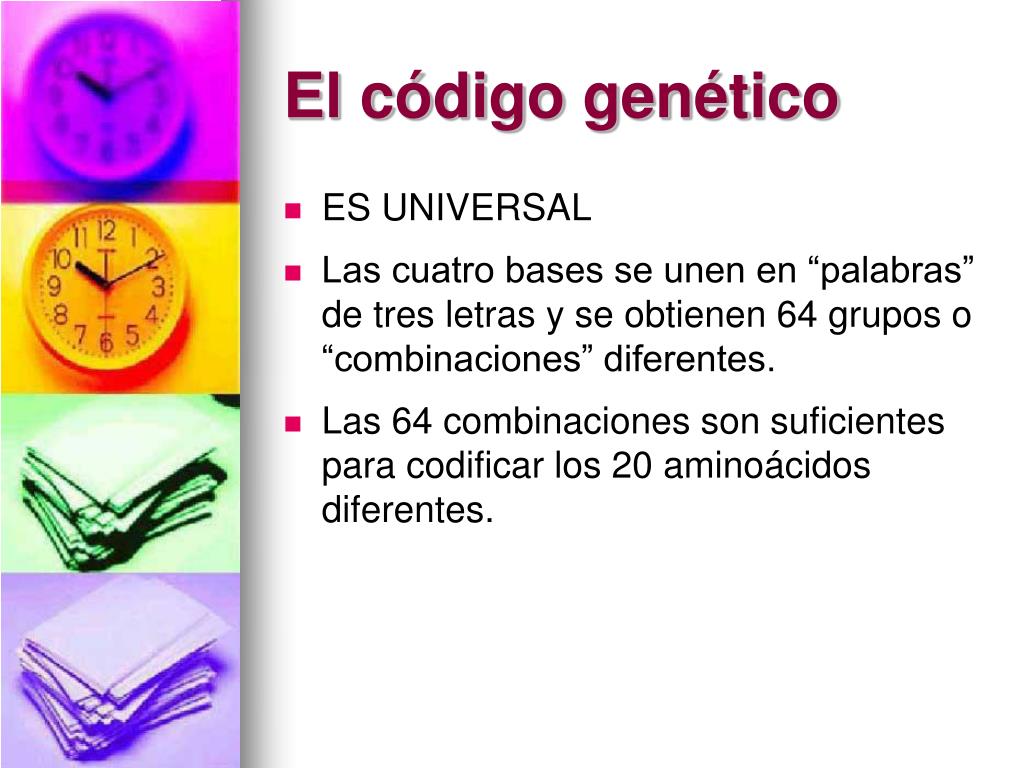 PPT - EL CÓDIGO GENÉTICO PowerPoint Presentation, free download - ID ...