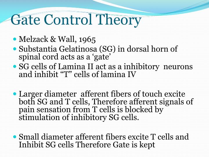 PPT - Spinal Cord PowerPoint Presentation - ID:6959841