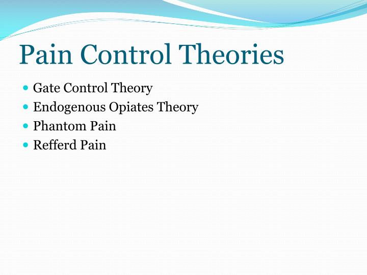 PPT - Spinal Cord PowerPoint Presentation - ID:6959841