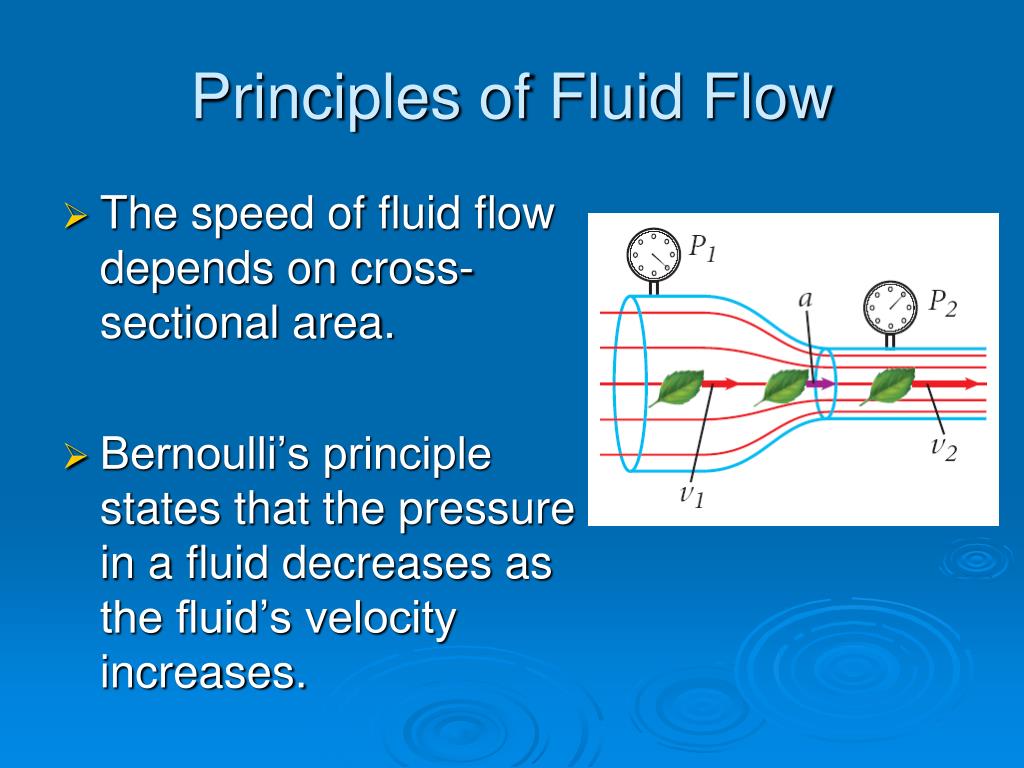 Types Of Fluid Flow In Fluid Mechanics Uniform Flow S - vrogue.co Types Of Fluid Flow In Fluid Mechanics Uniform Flow S - vrogue.co