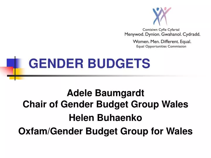 PPT - GENDER BUDGETS PowerPoint Presentation, free download - ID:6963584