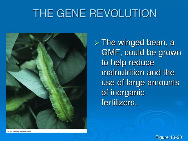 PPT - THE GENE REVOLUTION PowerPoint Presentation, free download - ID ...