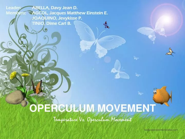 PPT - OPERCULUM MOVEMENT PowerPoint Presentation, free download - ID ...