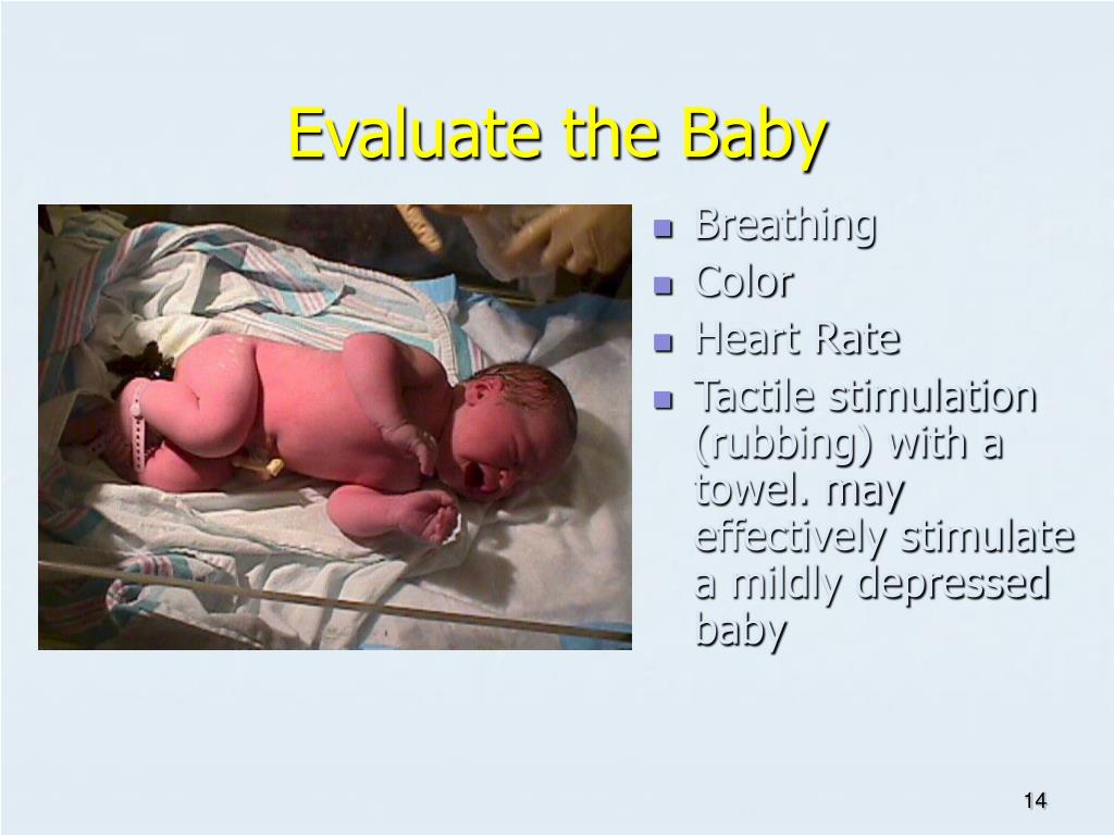 Ppt Newborn Nursing Powerpoint Presentation Free Download Id 6966884