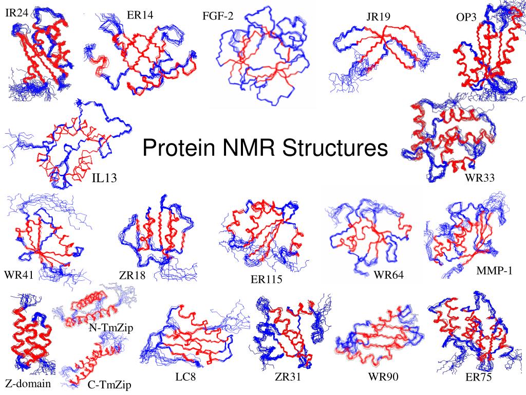 Nmr Spectroscopy Protein Structure at Leon Clyde blog Nmr Spectroscopy Protein Structure at Leon Clyde blog