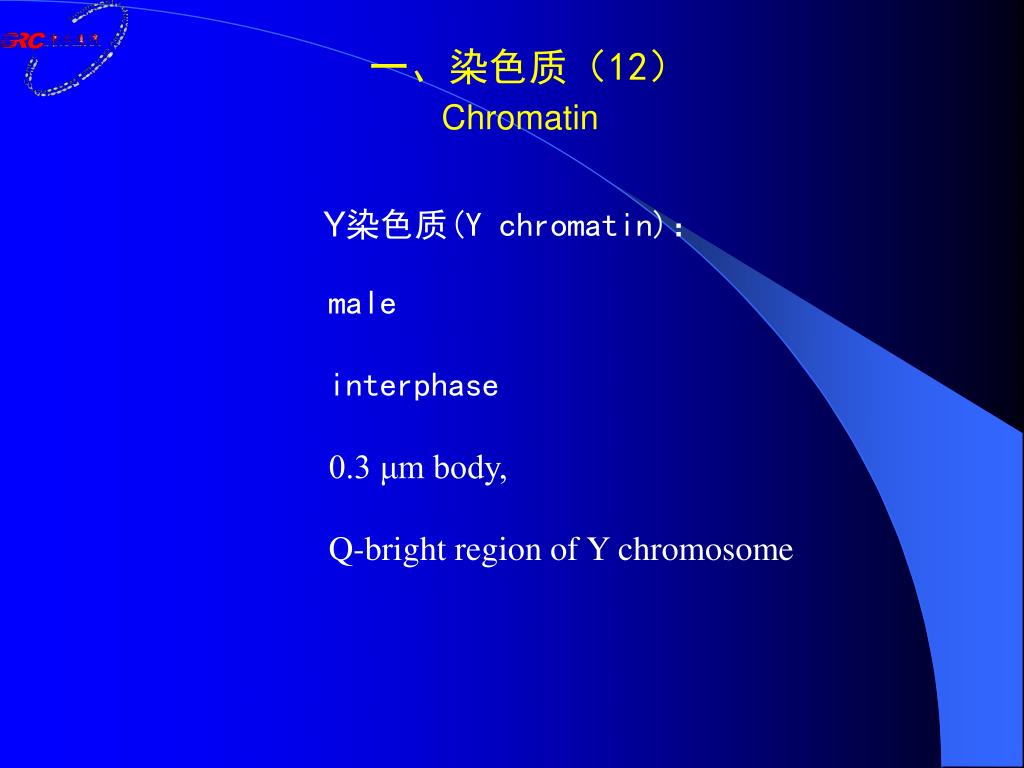 PPT - 一、染色质 chromatin 二、染色体 chromosome 三、人类染色体的正常核型 the normal human ...