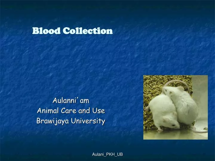PPT - Blood Collection PowerPoint Presentation, free download - ID:6970406