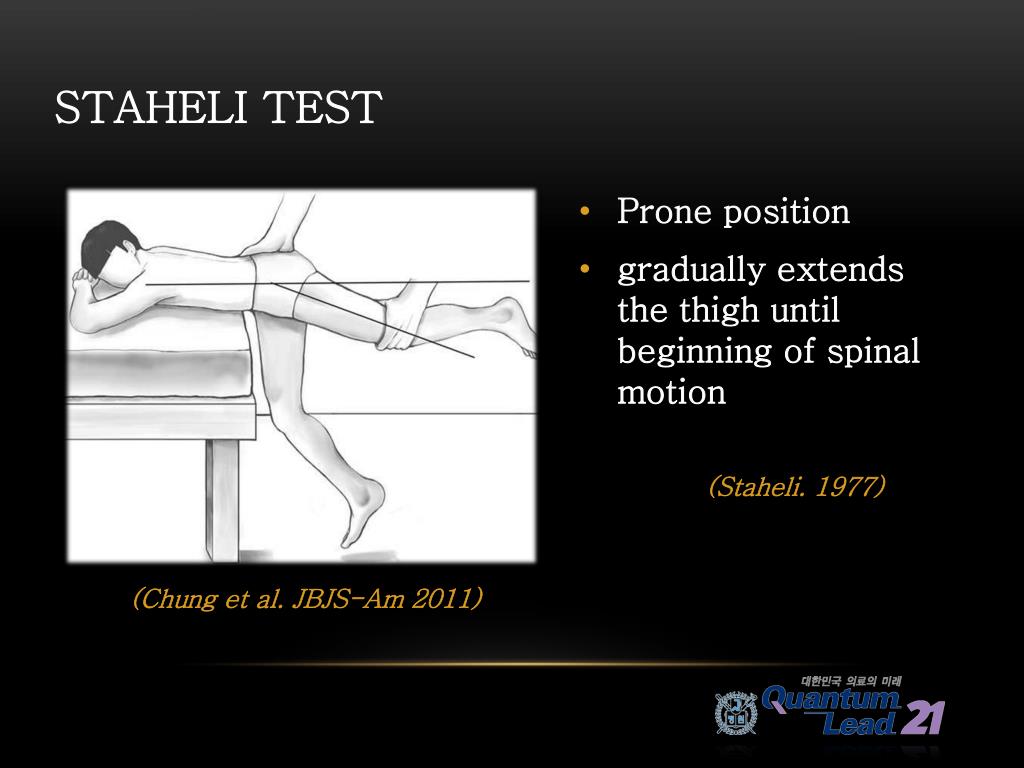 PPT - Anatomy Wokrshop PowerPoint Presentation, free download - ID:6972388