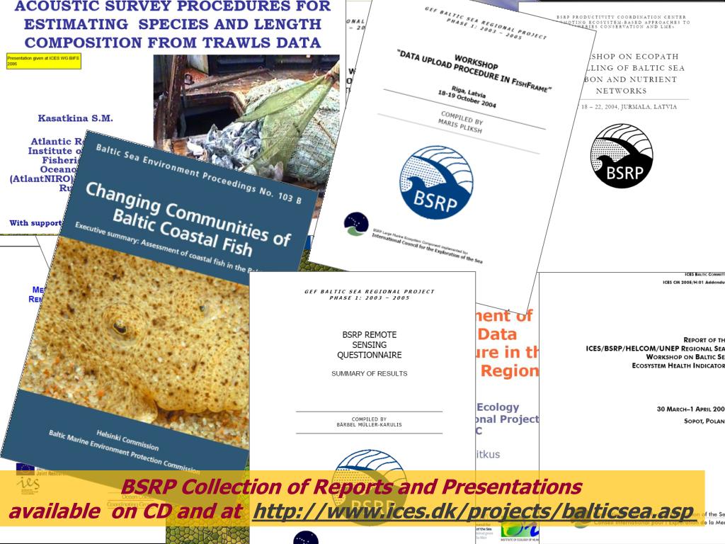 PPT - The Baltic Sea Regional Project, BSRP Activities and Results 2003 ...