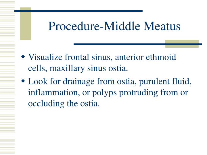 PPT - Nasopharyngolaryngoscopy for Family Physicians PowerPoint ...