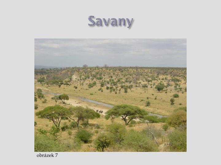 PPT - SPOLEČENSTVO A EKOSYSTÉM PowerPoint Presentation - ID:6983293