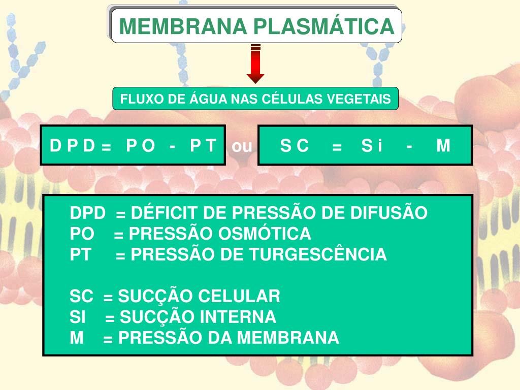 PPT - BIOLOGIA PowerPoint Presentation, free download - ID:6983380