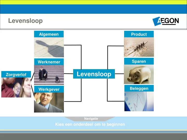 PPT - Levensloop PowerPoint Presentation, free download - ID:6984634