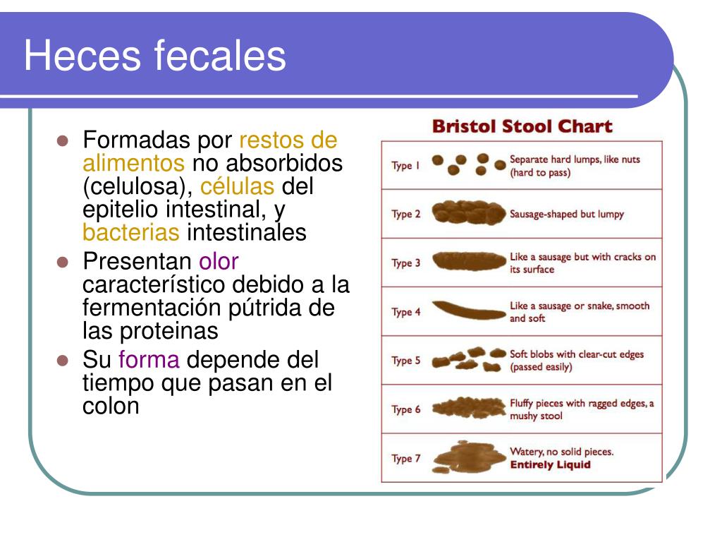 PPT - Tema 3: Anatomía y fisiología del Aparato Digestivo PowerPoint ...