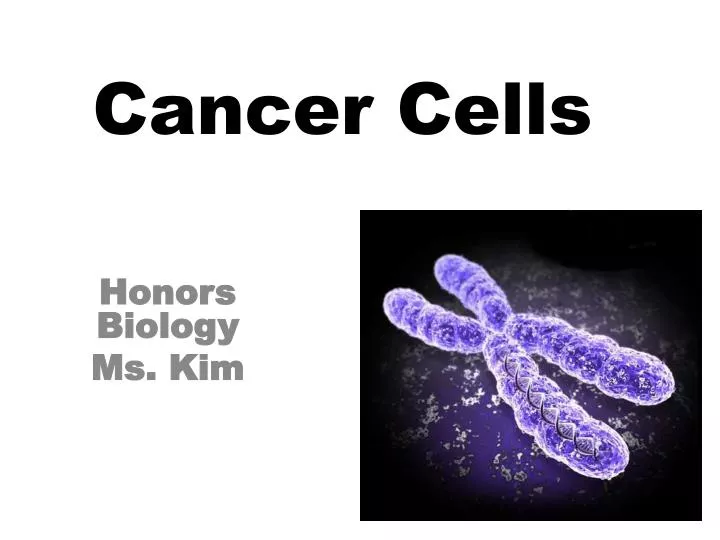 PPT - Cancer Cells PowerPoint Presentation, free download - ID:6988452