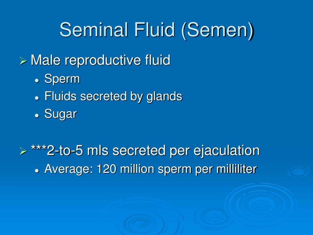 PPT - Male Genital Tract PowerPoint Presentation, free download - ID ...
