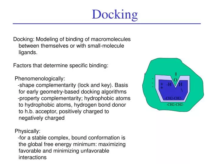 PPT - Docking PowerPoint Presentation, free download - ID:6990589