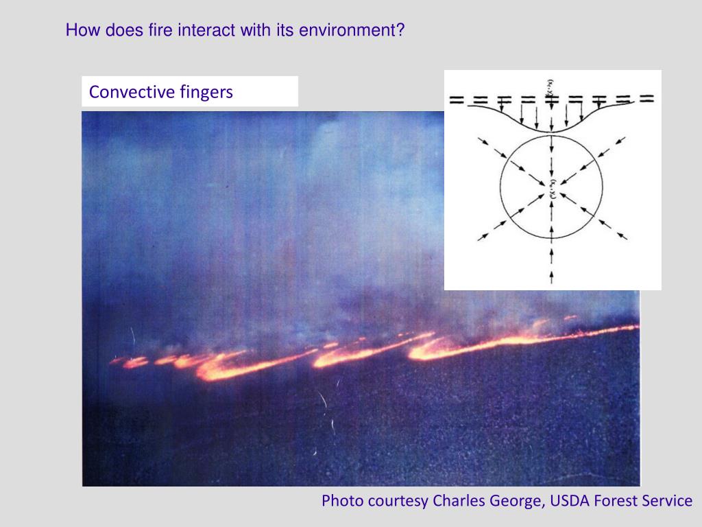 PPT - Computational Modeling of Large Wildfires: A Roadmap PowerPoint ... PPT - Computational Modeling of Large Wildfires: A Roadmap PowerPoint ...