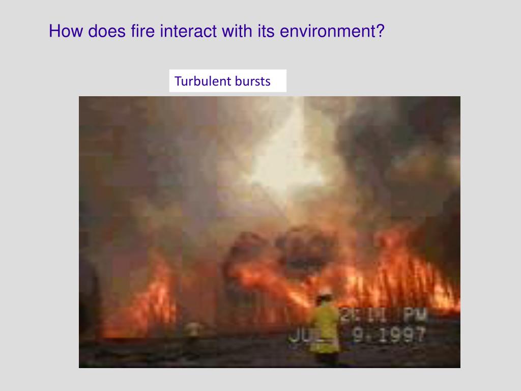 PPT - Computational Modeling of Large Wildfires: A Roadmap PowerPoint ... PPT - Computational Modeling of Large Wildfires: A Roadmap PowerPoint ...