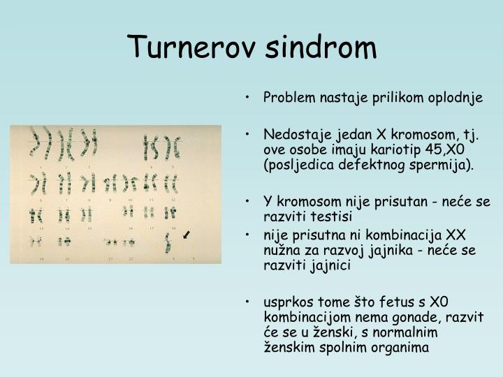 PPT - SPOLNA DIFERENCIJACIJA I SEKSUALNO PONAŠANJE PowerPoint ...