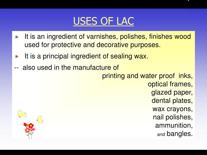 PPT - LAC INSECTS PowerPoint Presentation - ID:6993037