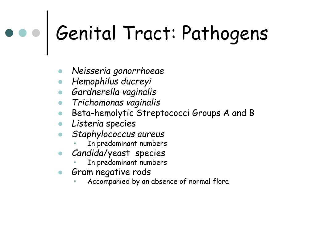 Ppt Genital Tract Infections Powerpoint Presentation Free Download