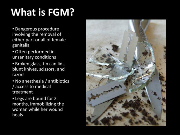 PPT - Human Rights PowerPoint Presentation - ID:6994926