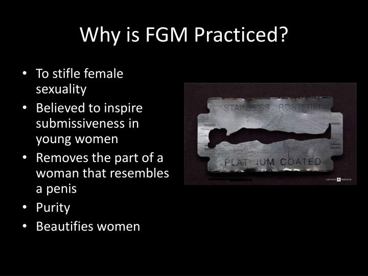 PPT - Human Rights PowerPoint Presentation - ID:6994926