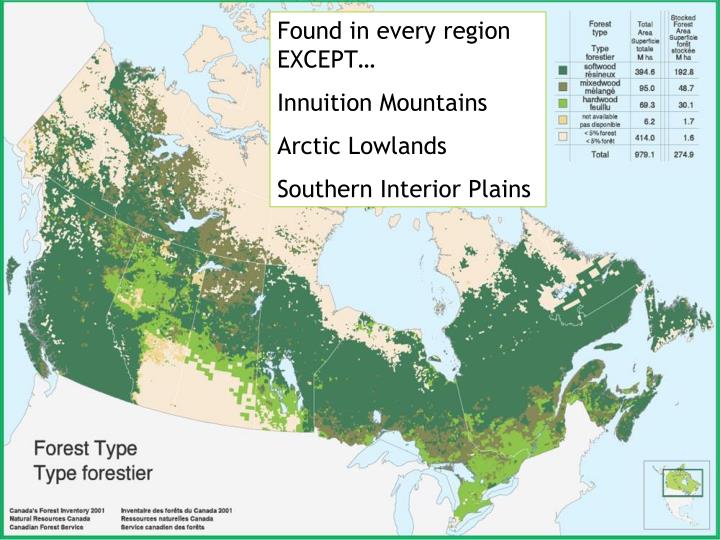 PPT - Canada's Natural Resources! PowerPoint Presentation - ID:6996980