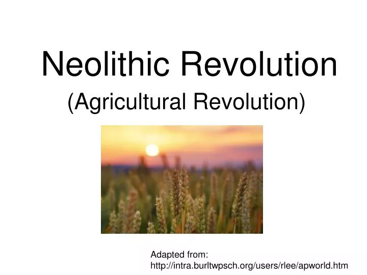 PPT - Neolithic Revolution PowerPoint Presentation, free download - ID ...